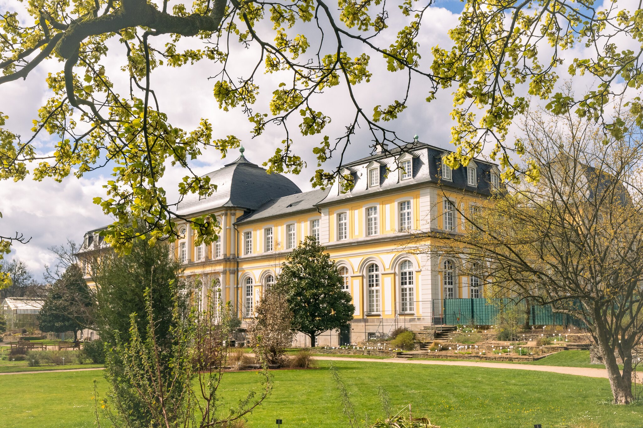 Botanische Gärten: Botanische Gärten mit neuen Führungen - Bonn