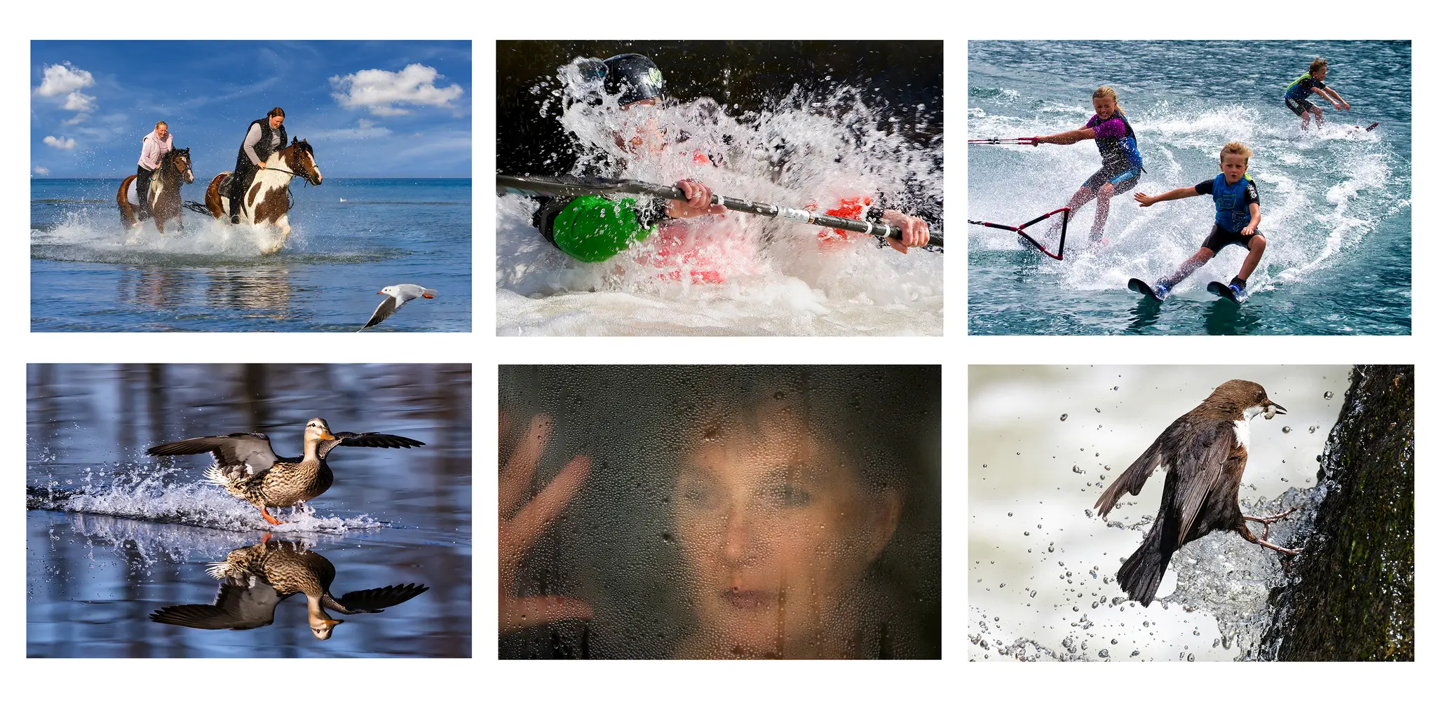 Fotoausstellung "Wasser": Perspektiven rund ums Thema Wasser - Pulheim