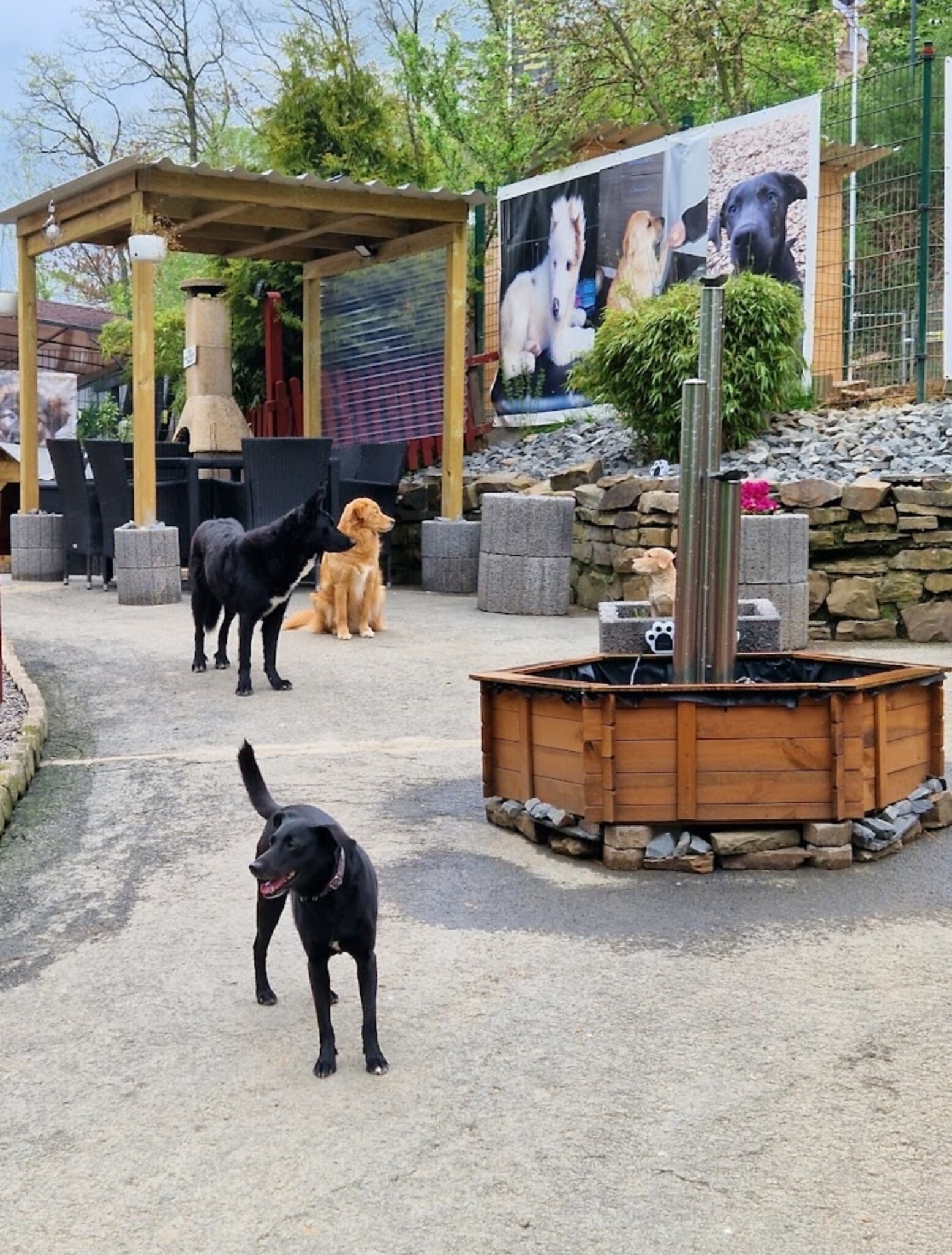 TOT Hunde SOS: Tag der offenen Tür - Reichshof