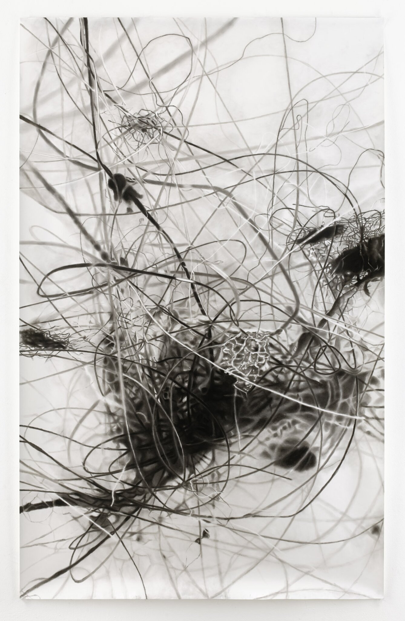 Joseph und Anna Fassbender-Preis: Peter Hock ist Preisträger - Brühl