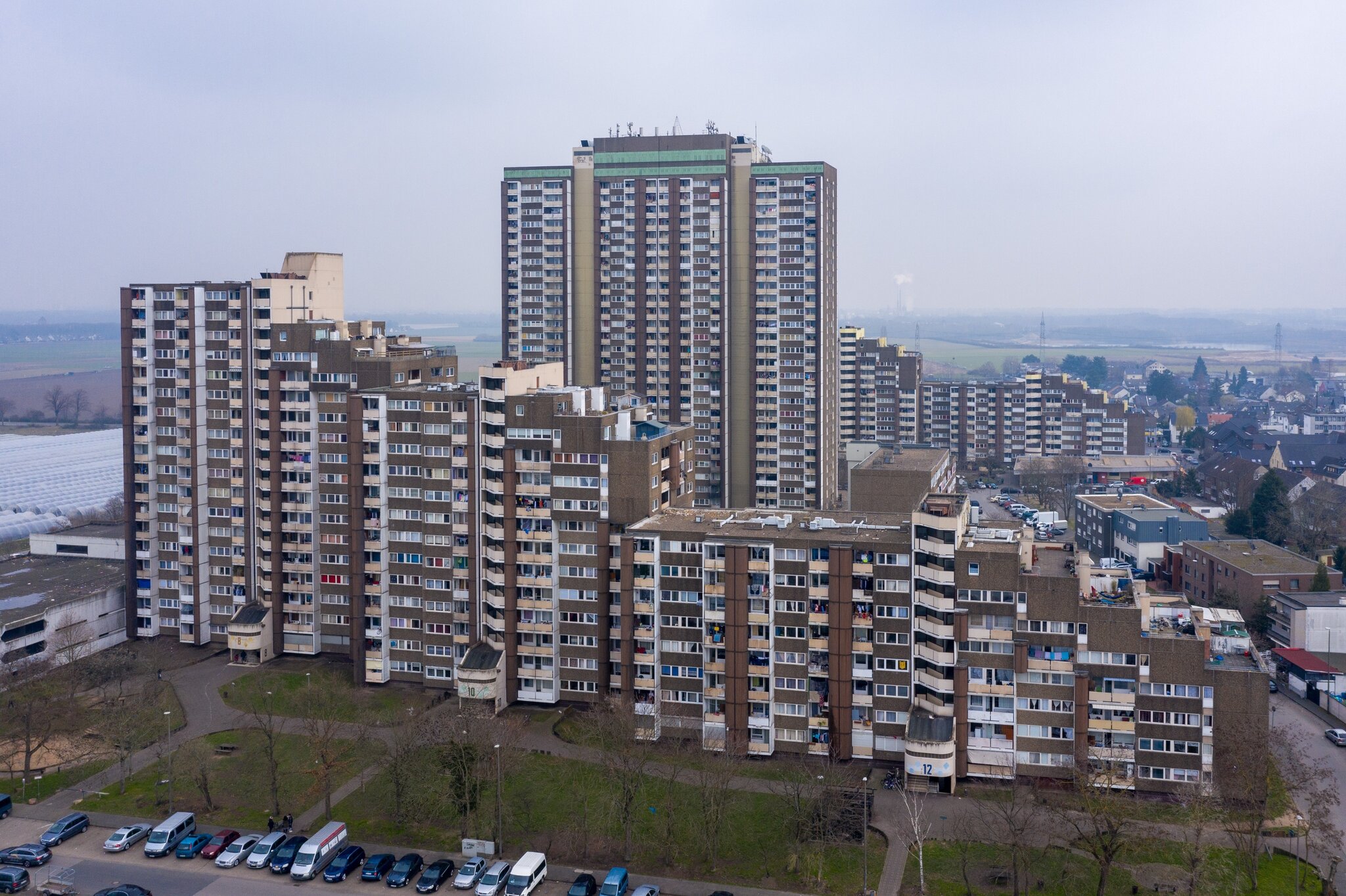 Kölnberg: Eindämmung der Rattenplage: Maßnahmen zeigen Wirkung ...