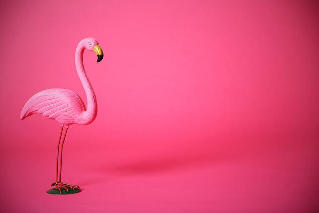 LVR-Freilichtmuseum: Museum freut sich über kitschige Fotos - Euskirchen