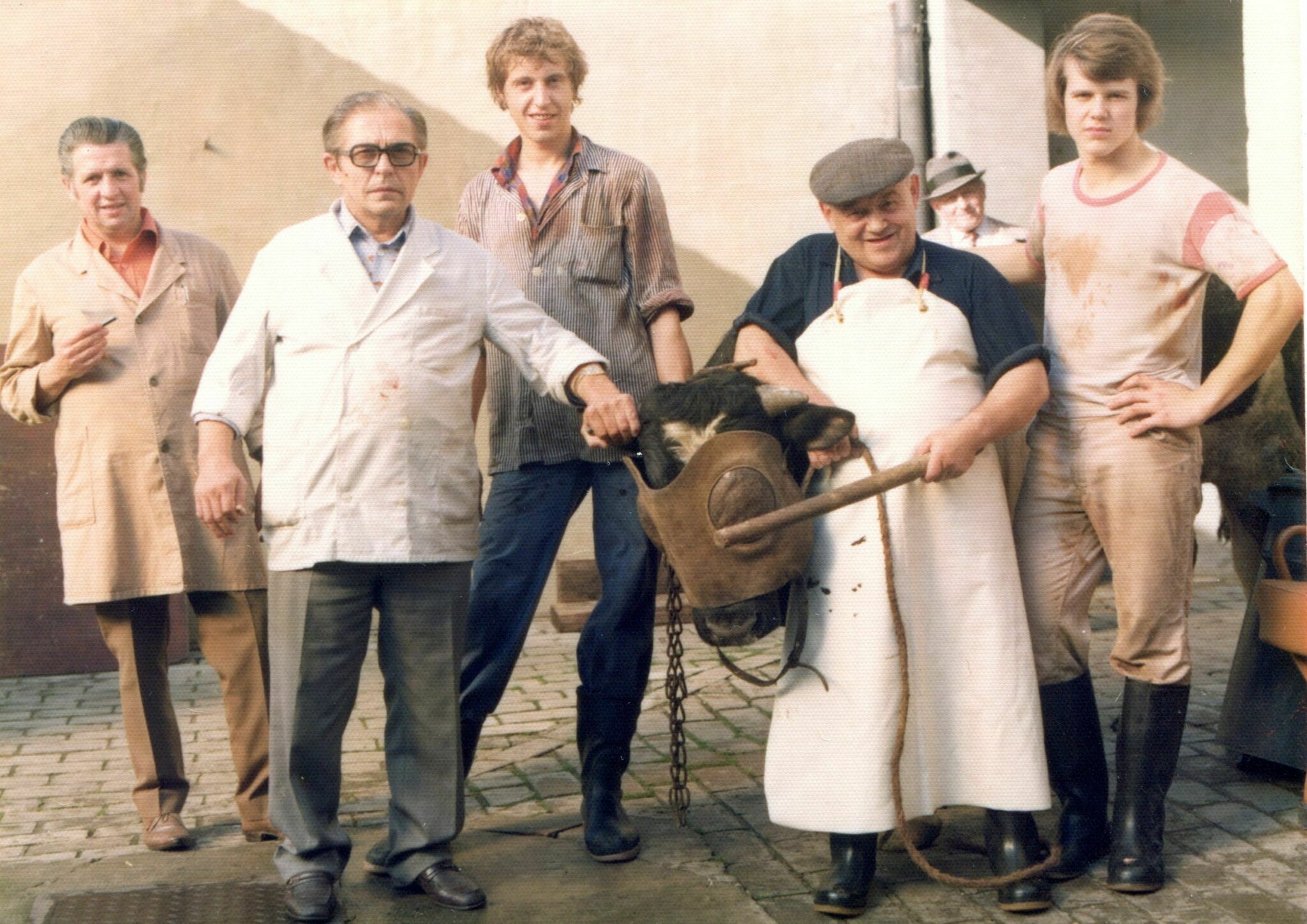 Heimatverein Sindorf: Als der Metzger noch selbst geschlachtet hat - Kerpen