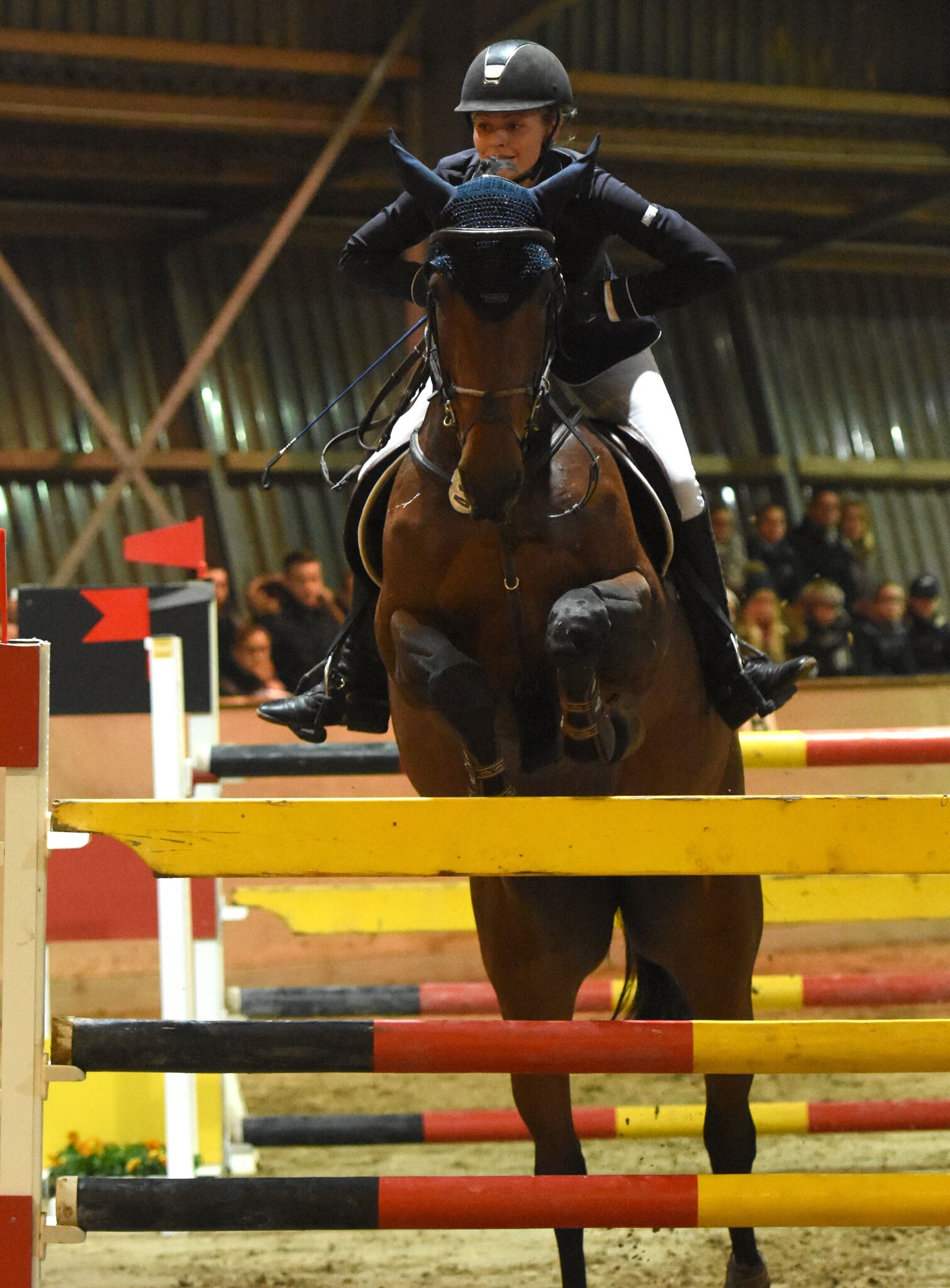 Springturnier: Springturnier des Reitvereins Gut Ettenhausen