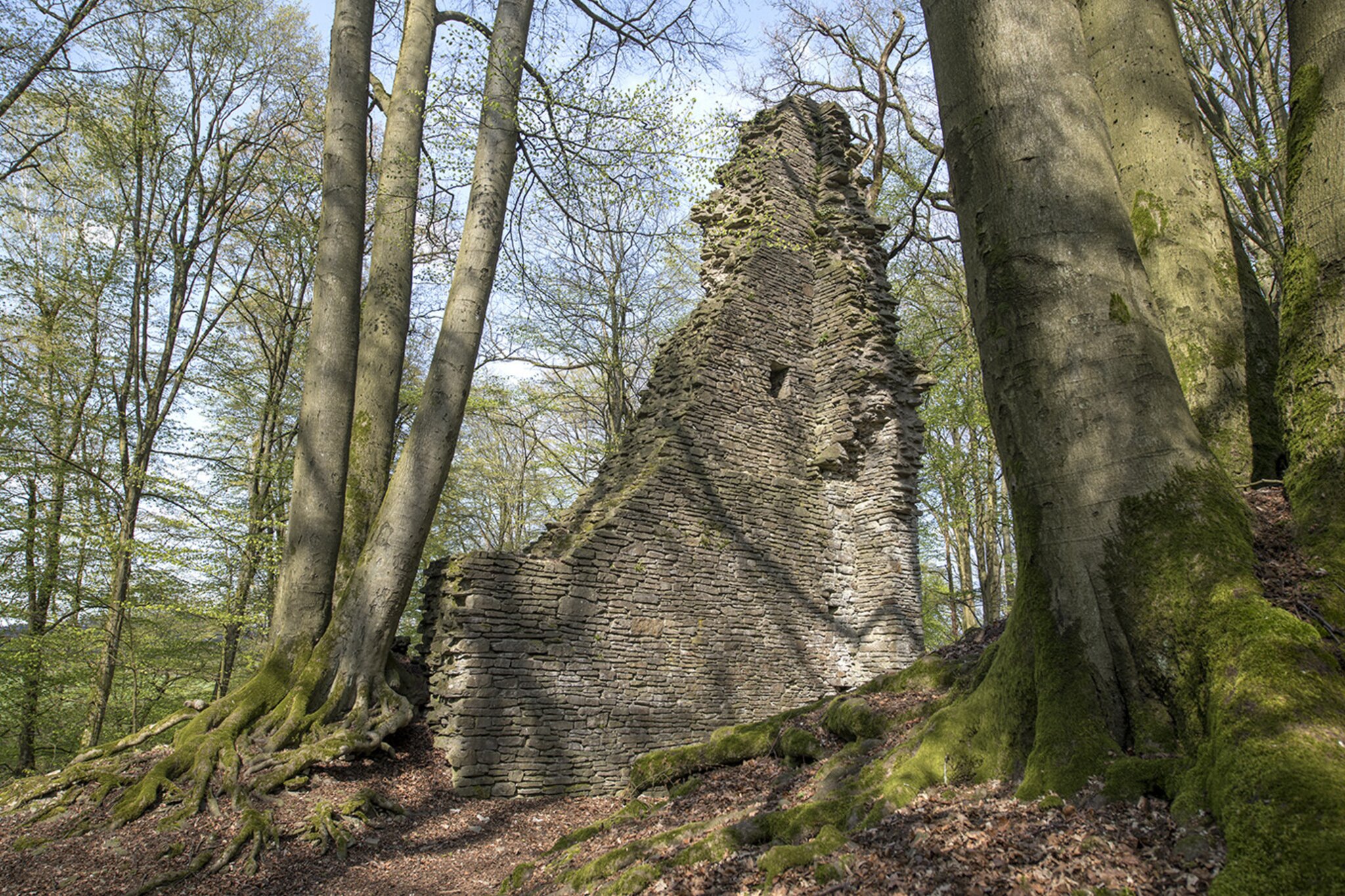 Archäologietour Oberberg: Verborgene Denkmäler am Sonntag, 20. Oktober ...