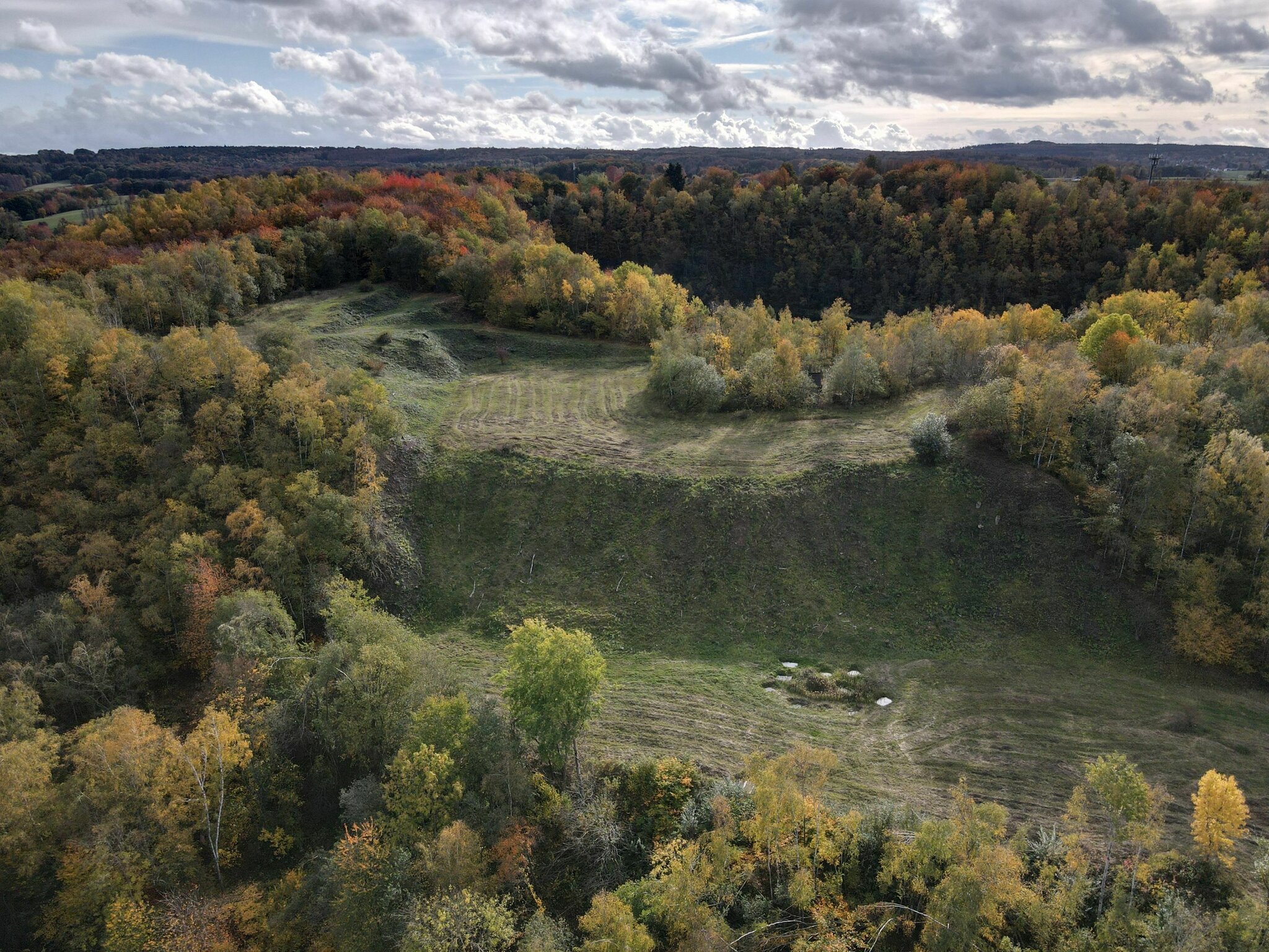Naturschutzgebiete Eudenberg und Eulenberg: Gefährdete Biotope