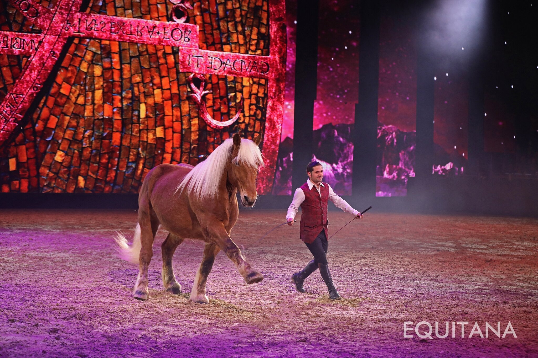 EQUITANA Essen: Die Weltmesse des Pferdes startet am 9. März - Leichlingen