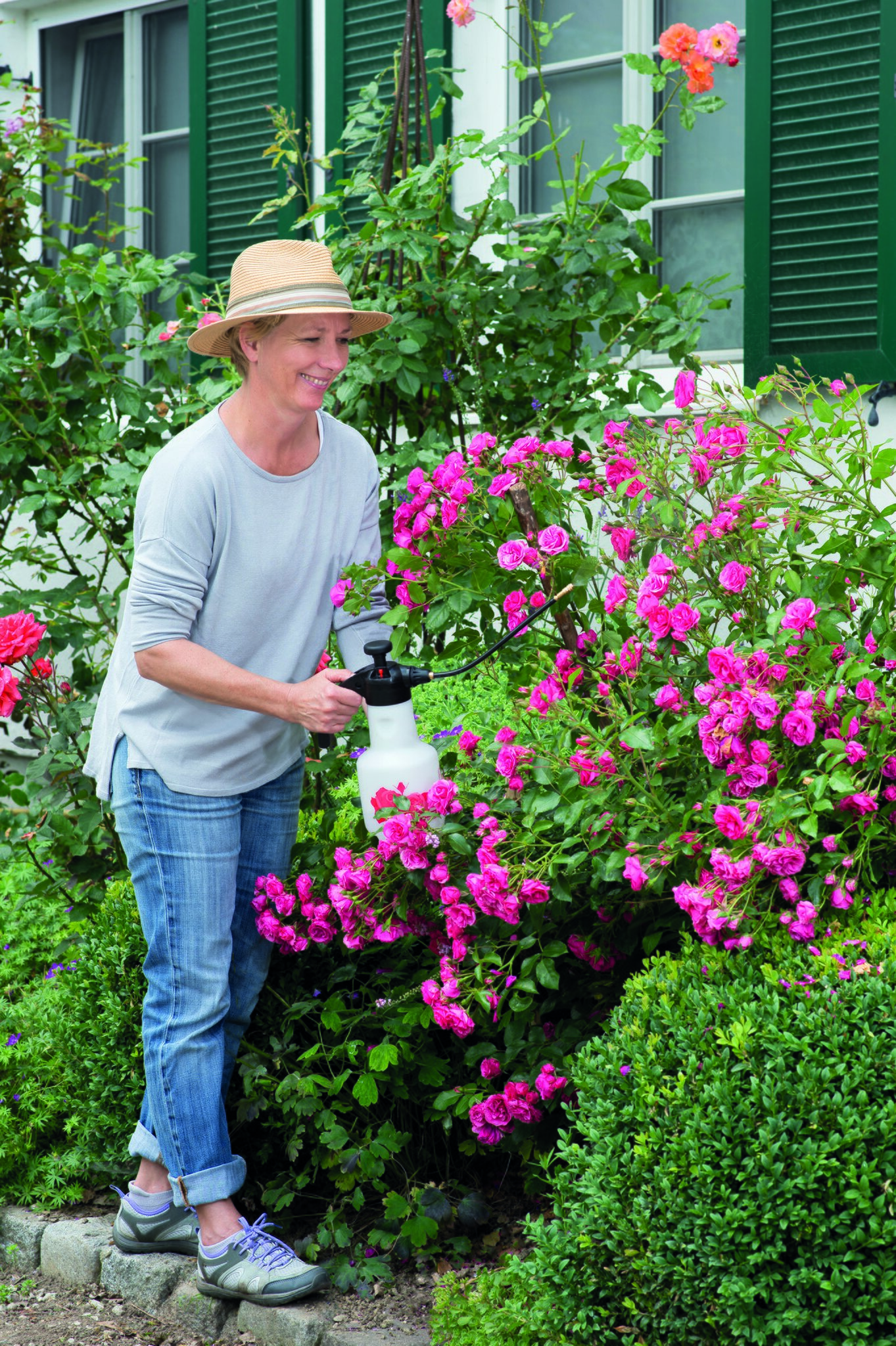 Pflanzen-Power für die Königin des Garten:: Gesunde und kräftige Rosen ...