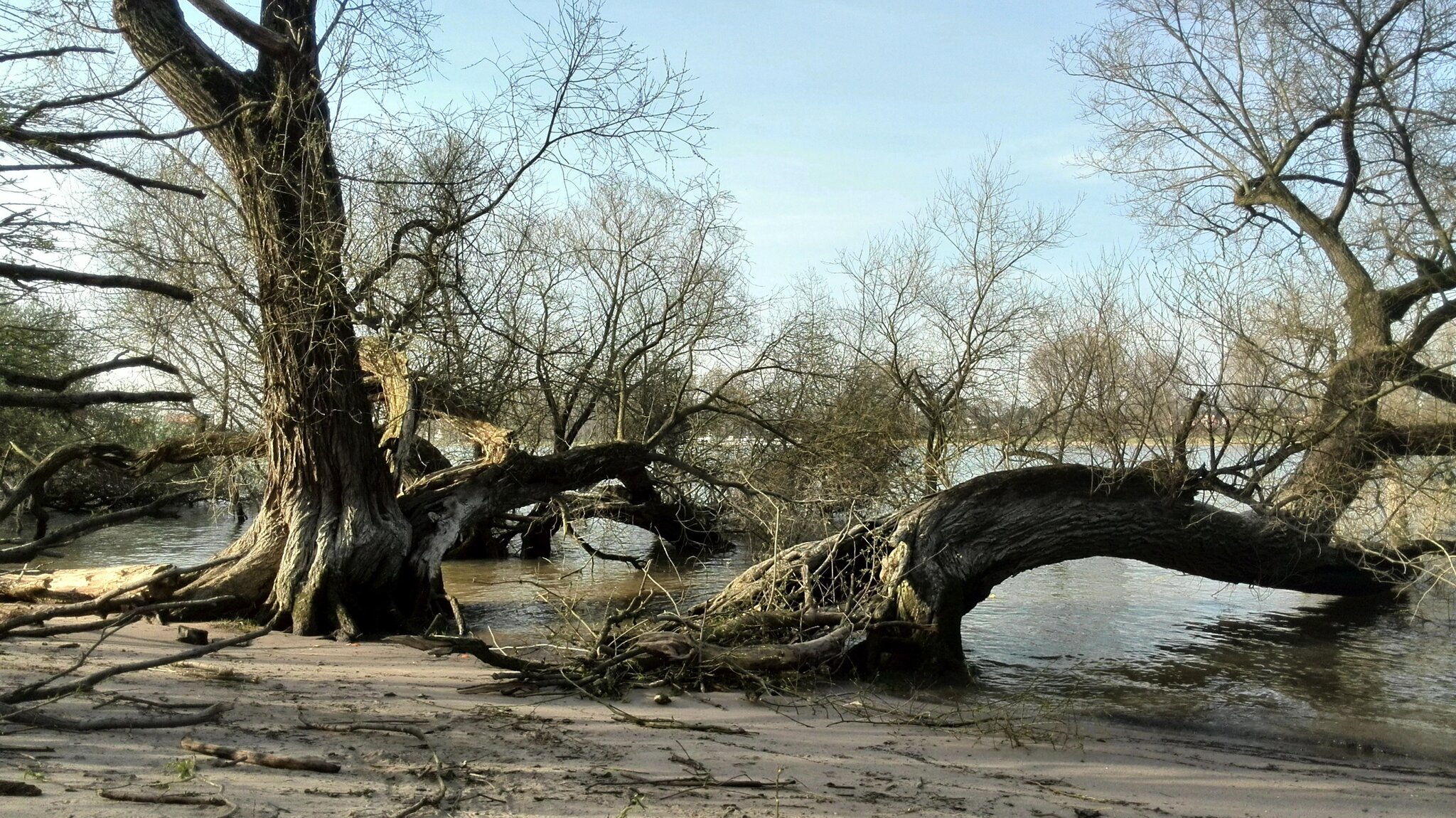 Nachdenkliches: Die Strafe folgt ... irgendwann - Pulheim