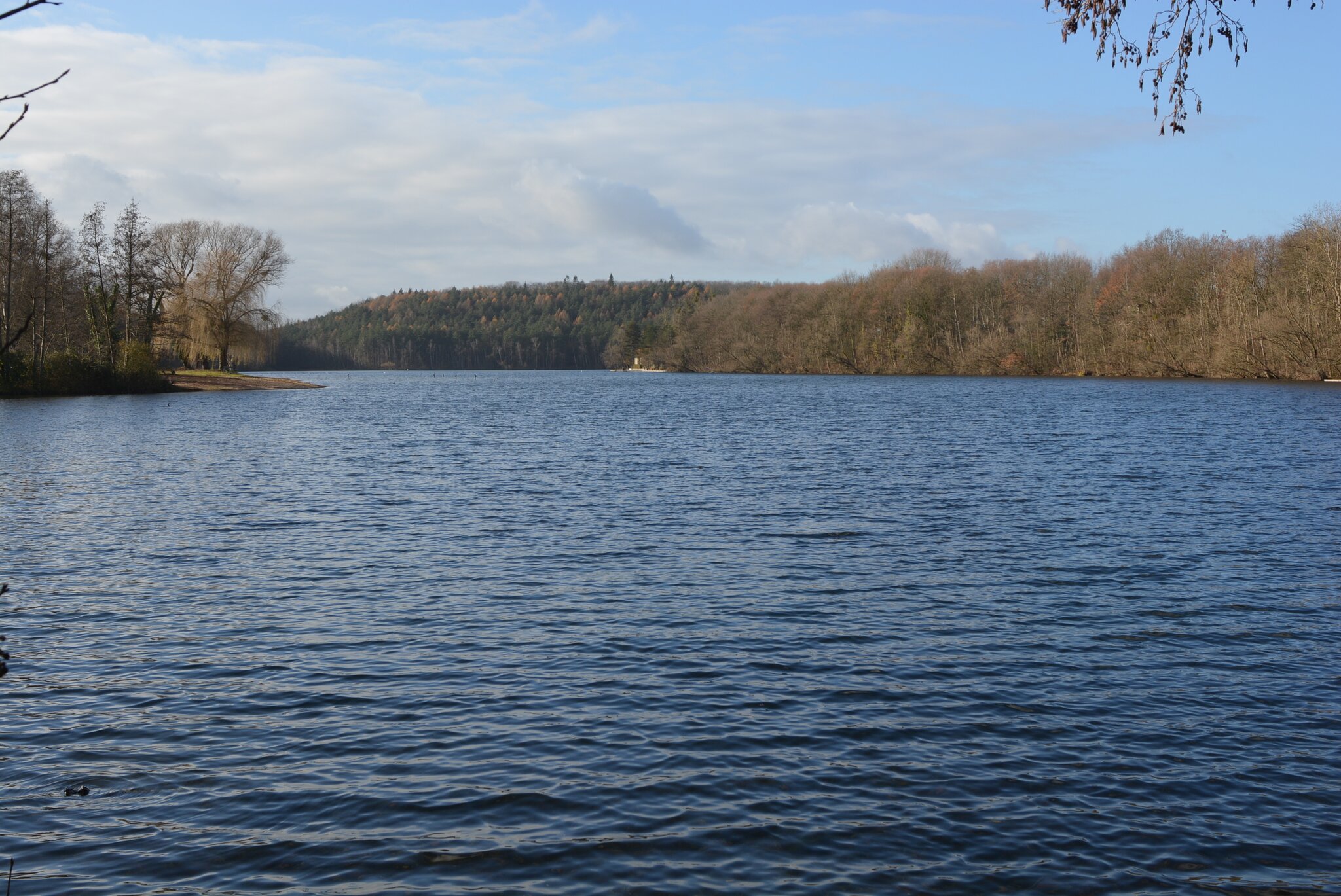 Neuer Wärmeplan für Brühl: Heizen mit dem Heider Bergsee - Brühl