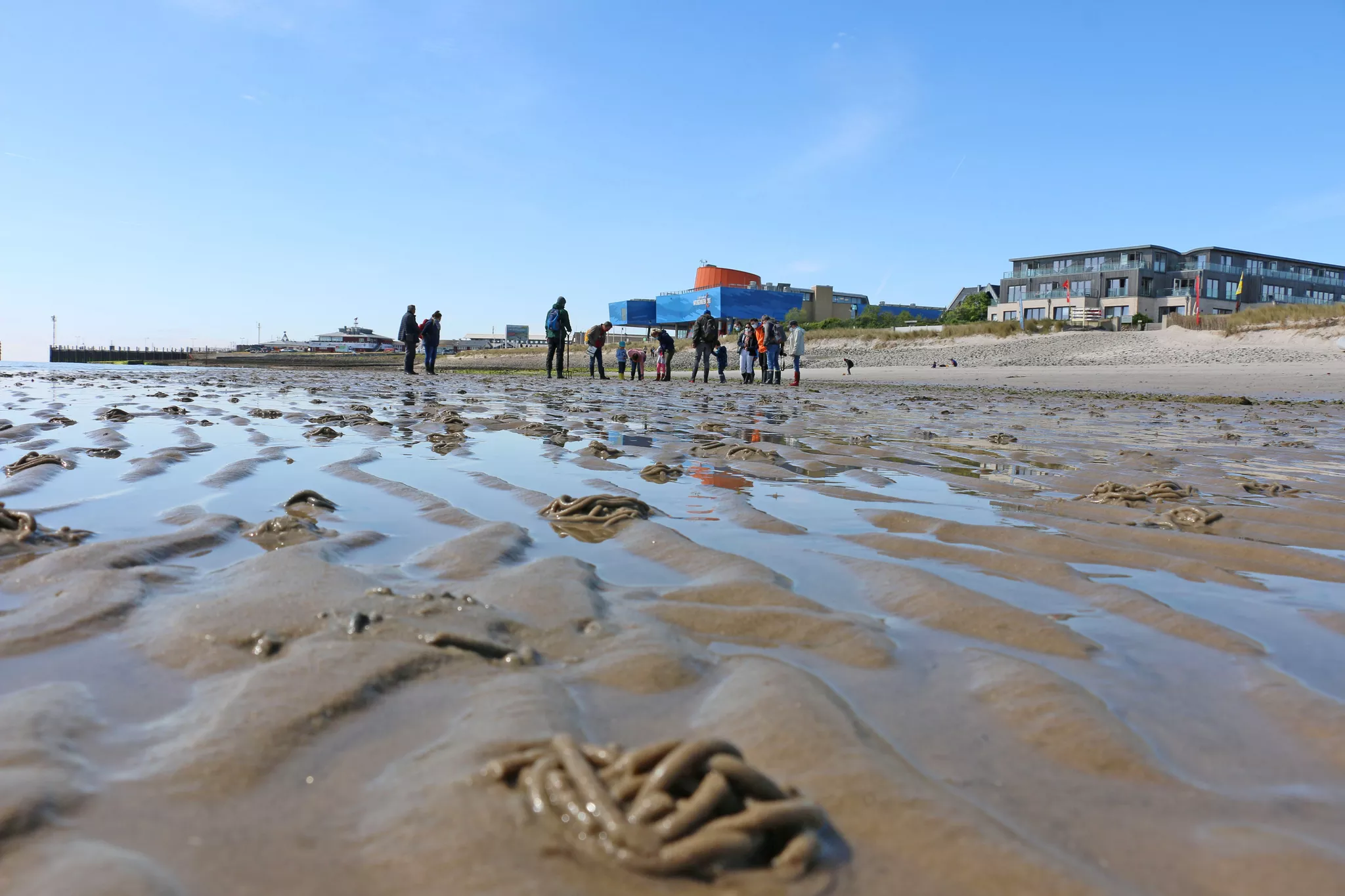 Naturgeheimnisse und Kraft der Nordsee in List: Wellen, Wind und Wale ...