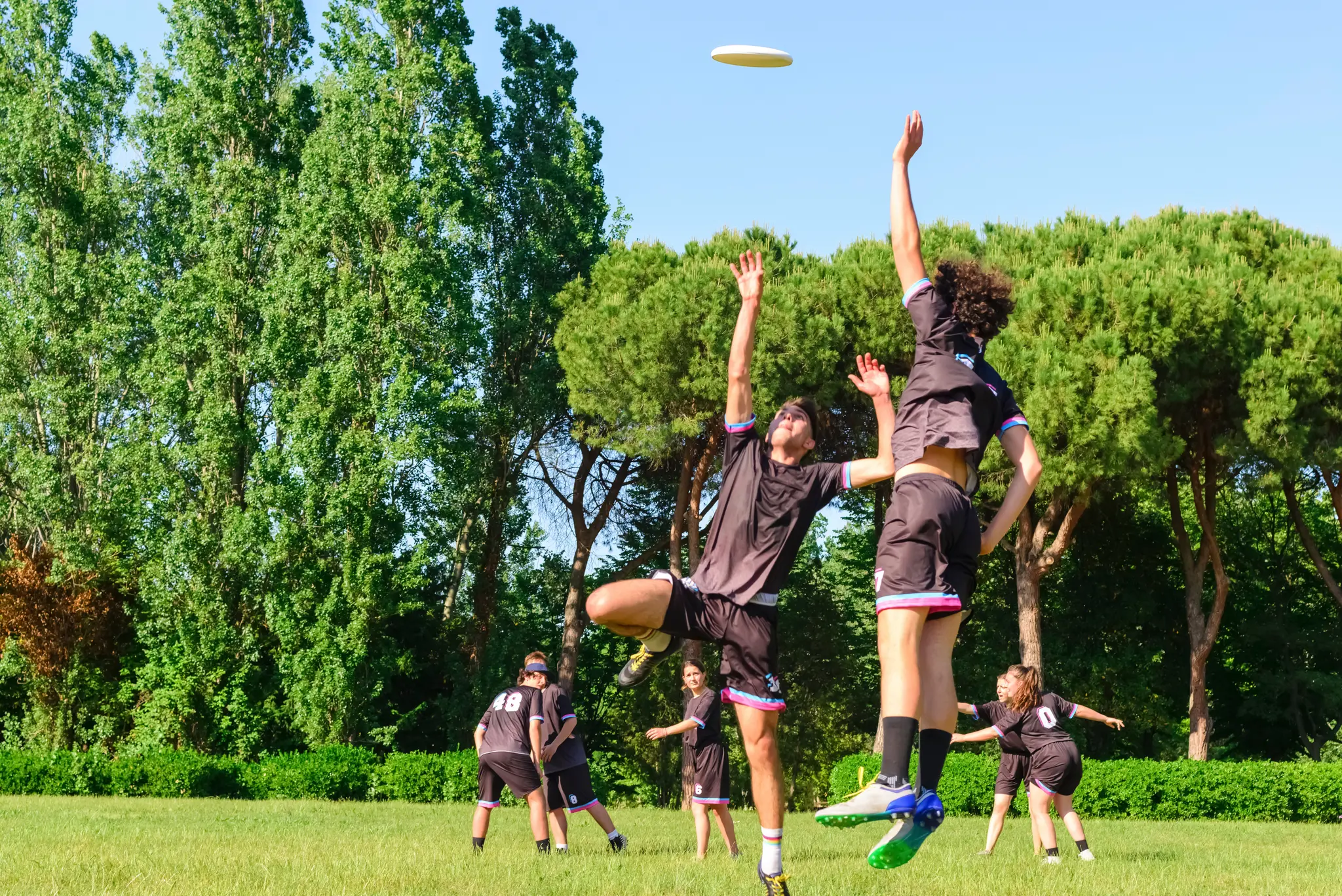 Disc Days Cologne 2025: Internationales Ultimate Frisbee-Turnier im ...
